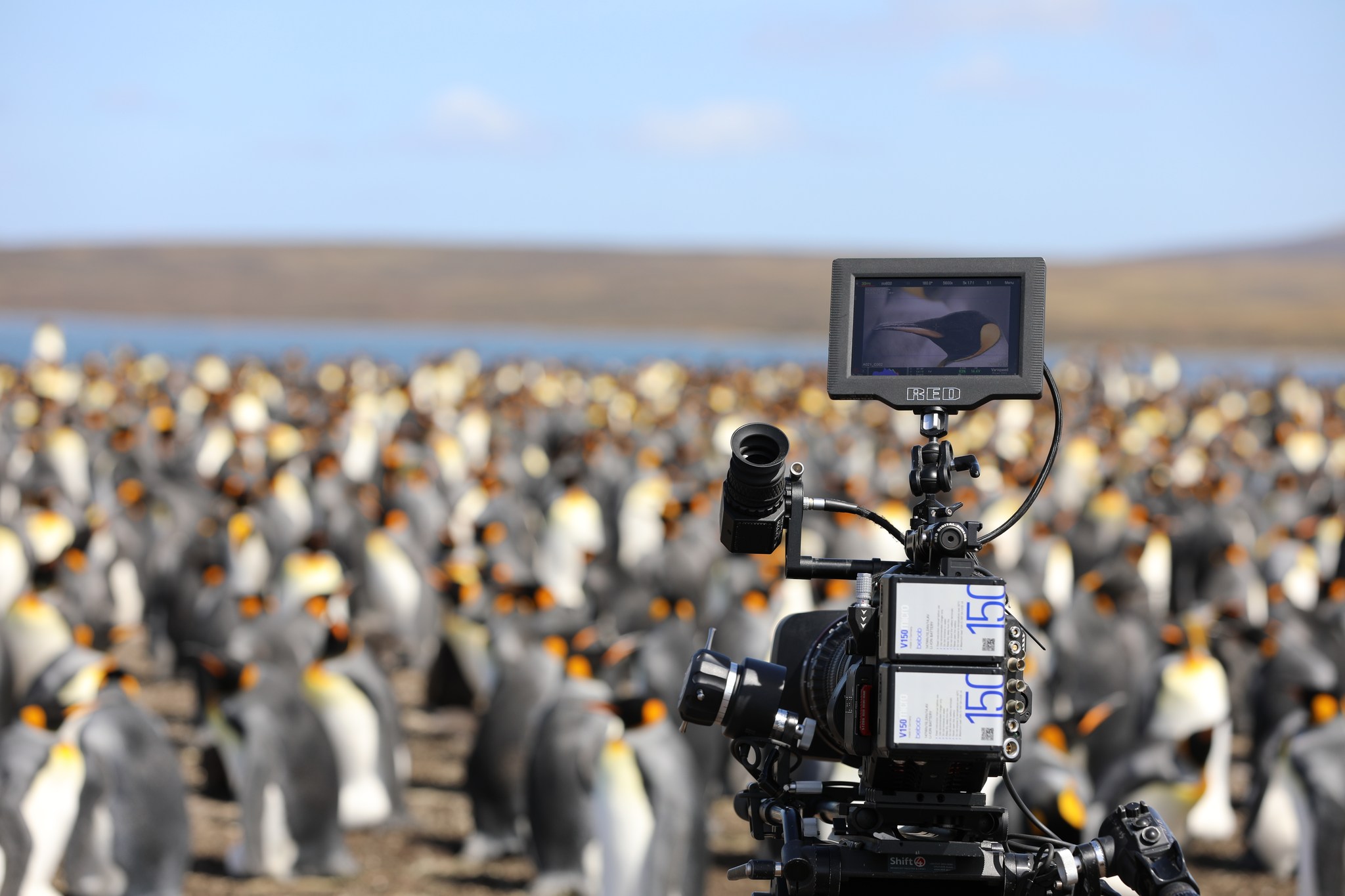 Journalism Glossary: Definitions Of Journalistic Words